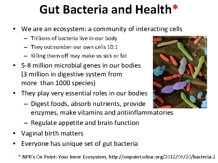 3 Gut Microbes How They Help us Out