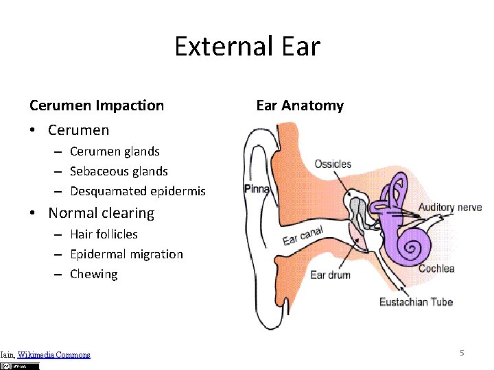 Project Ghana Emergency Medicine Collaborative Document Title Ear