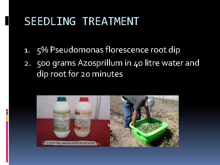 VEGETABLE PROJECT Modern sustainable farming methods blend of