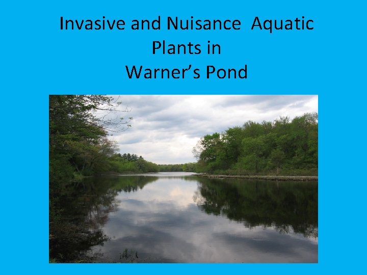 Invasive and Nuisance Aquatic Plants in Warners Pond