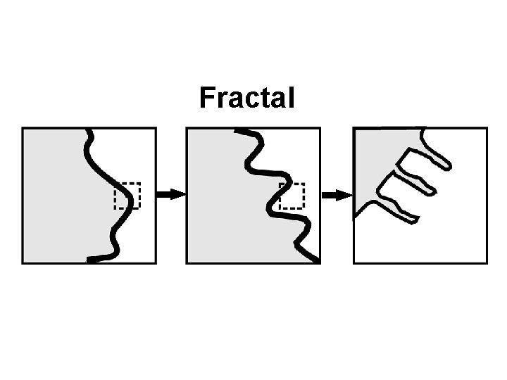 Introduction to Fractals Larry S Liebovitch Lina A