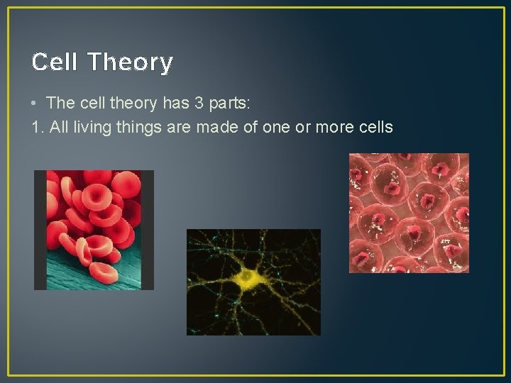Cells Whats in a Cell Cells After microscopes