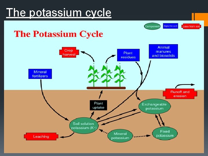 Nutrient Cycles In this lesson you will be