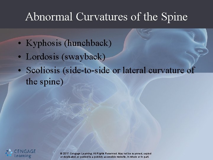 Chapter 6 Skeletal System 2017 Cengage 2017 Learning