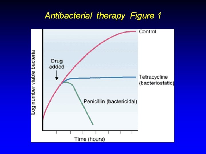 Antimicrobial therapy Dr Hamed AlZoubi Department of Microbiology