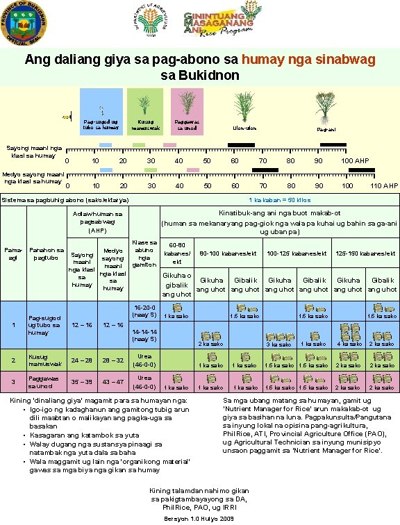 Quick guide for fertilizing directseeded rice in Bukidnon