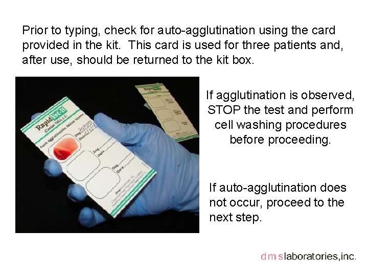 Rapid Vet H Blood Group Determination System for