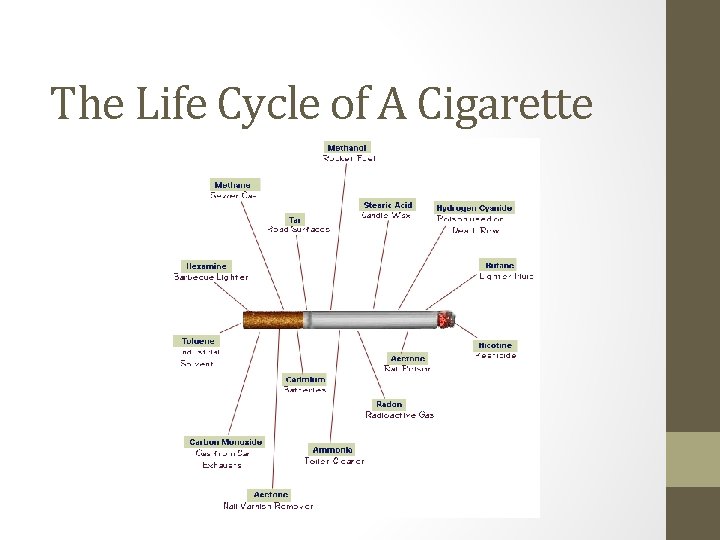 The Life Cycle of A Cigarette Extraction Main