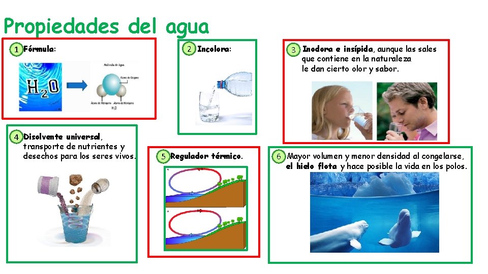 TEMA 10 LA HIDROSFERA El agua de la