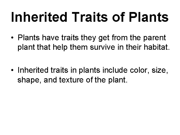 3 rd Grade Part Five Review What Plants