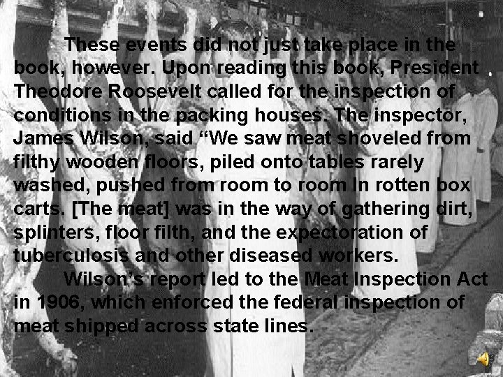 THE JUNGLE UPTON SINCLAIR By Bailey Currie Jurgis