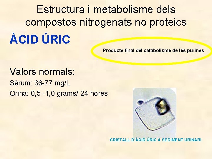 Estructura i metabolisme dels compostos nitrogenats no proteics