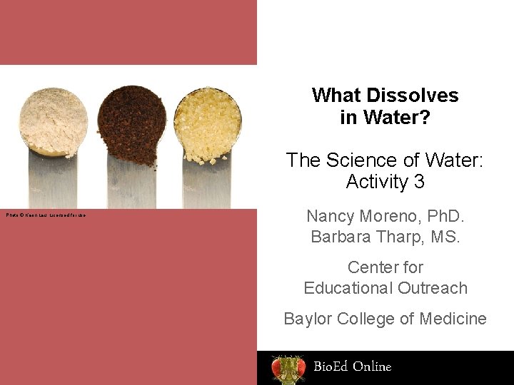 What Dissolves in Water The Science of Water