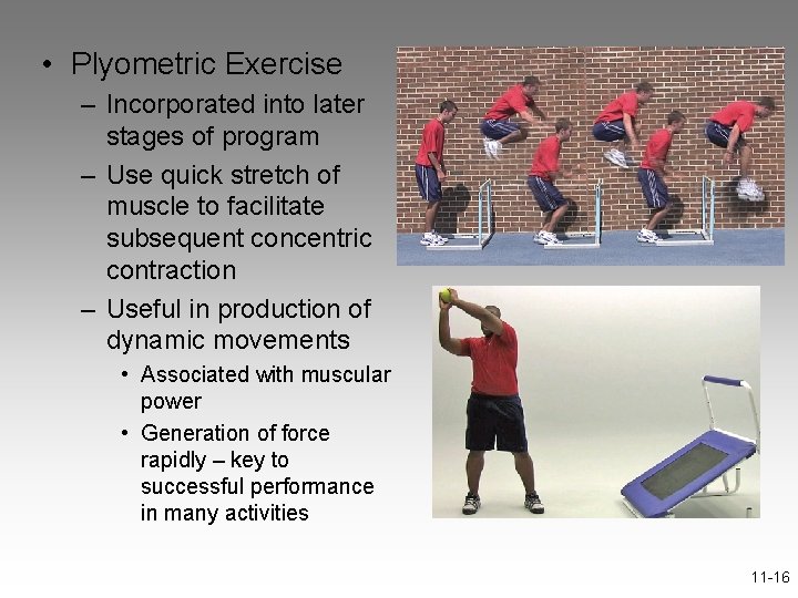 Chapter 11 Understanding the Basics of Injury Rehabilitation