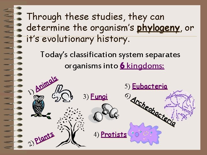 Modern Classification Today scientists look at all kinds