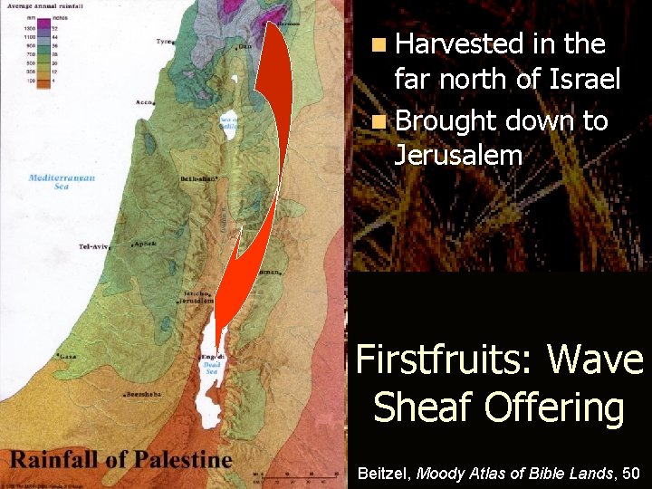 Ancient Near East Peoples Rationale Overview Geography Peoples