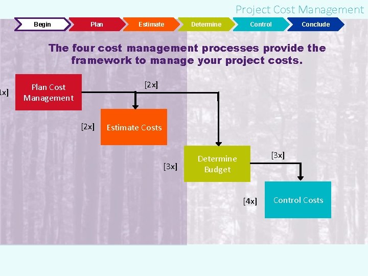 Project Cost Management Begin 1 x Plan Estimate