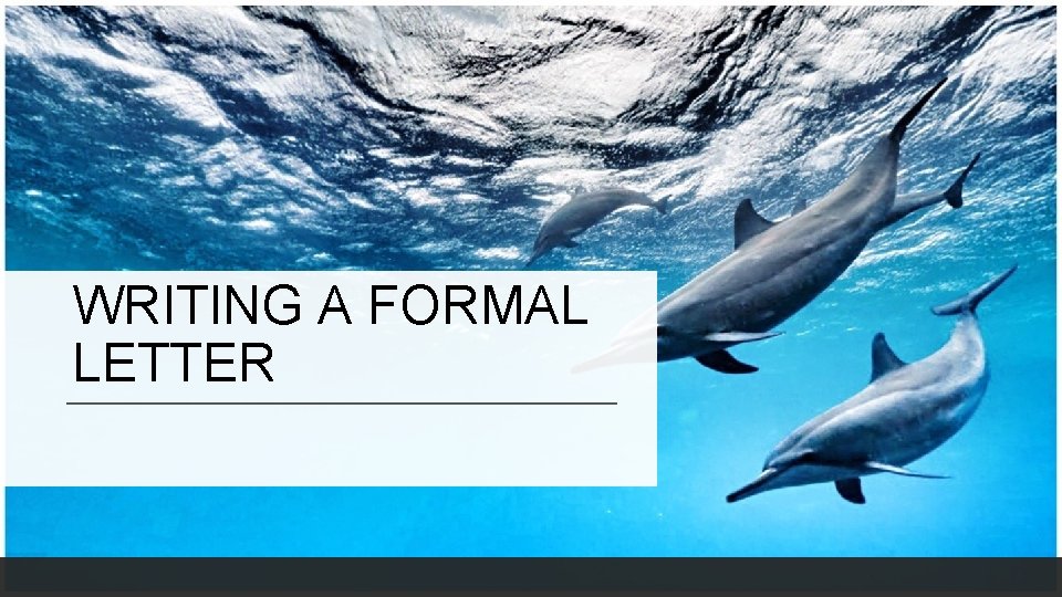 WRITING A FORMAL LETTER INTRODUCTION I am writing