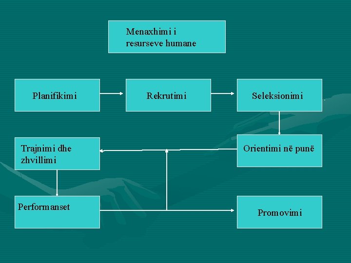 Menaxhimi i resurseve humane Planifikimi Trajnimi dhe zhvillimi
