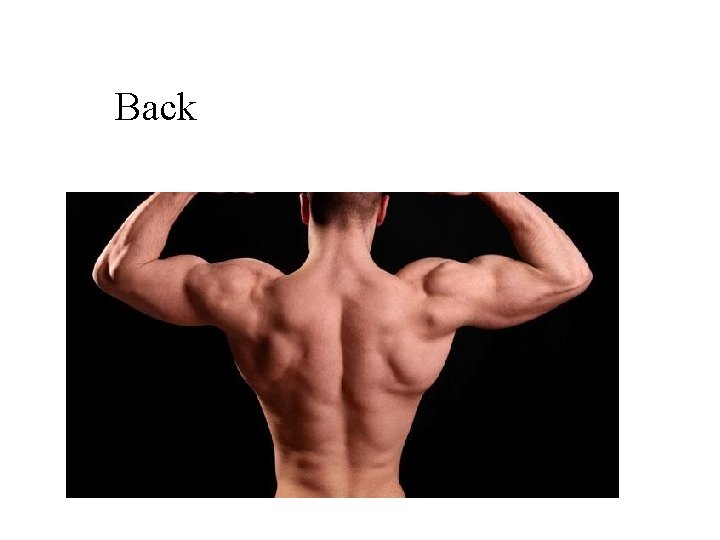 BODY PARTS The Body BODY PARTS Face head