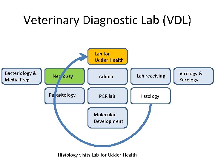 VDL Peer Auditing Program Thomas Bakken DSO Veterinary