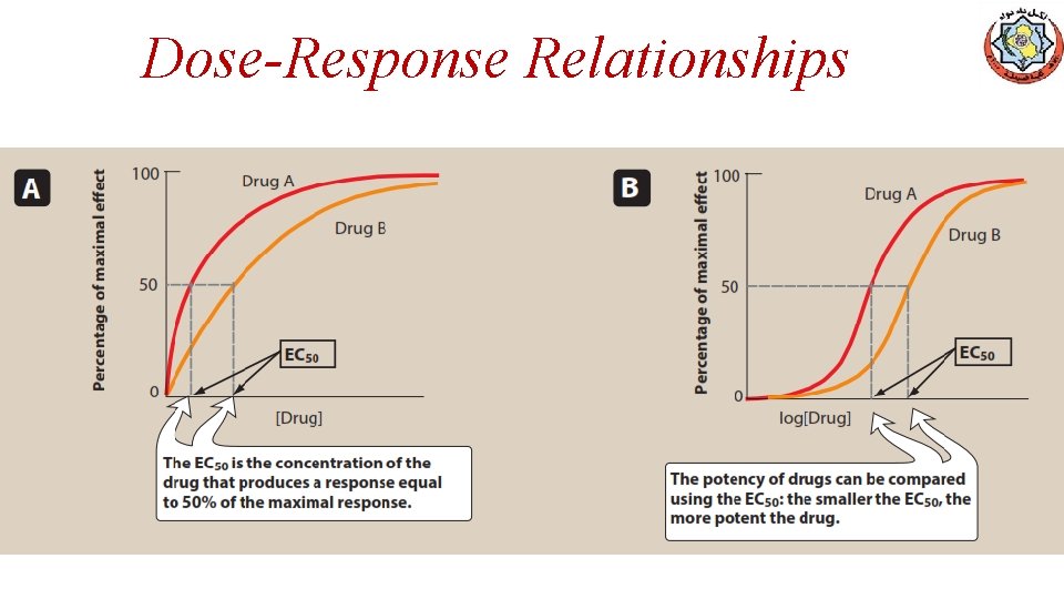DrugReceptor Interactions and Pharmacodynamics cont Enzymelinked ...