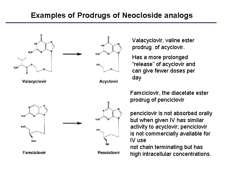 Antiviral Therapy Introduction Viruses are among the smallest