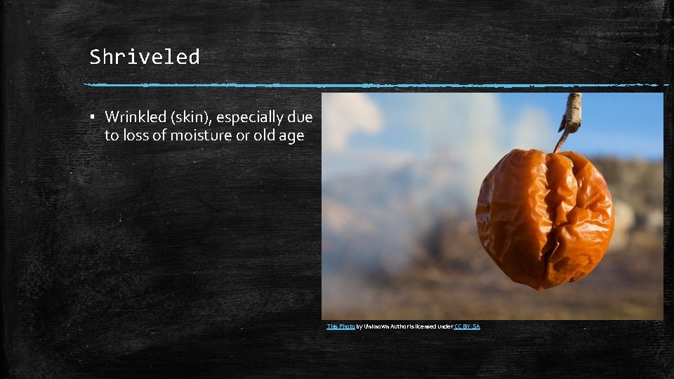 Wonder Vocabulary Week 2 Tunic a loose garment