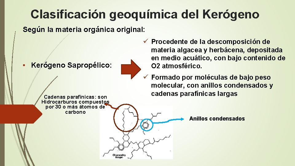 TRANSFORMACIN FSICOQUMICA DE LA MATERIA ORGNICA Composicin Clasificacin