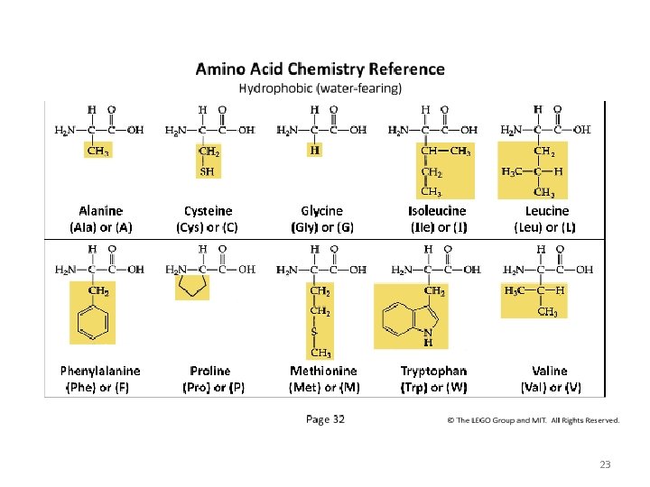 LEGO LESSON 1 PPT Proteins LEGO Proteins An