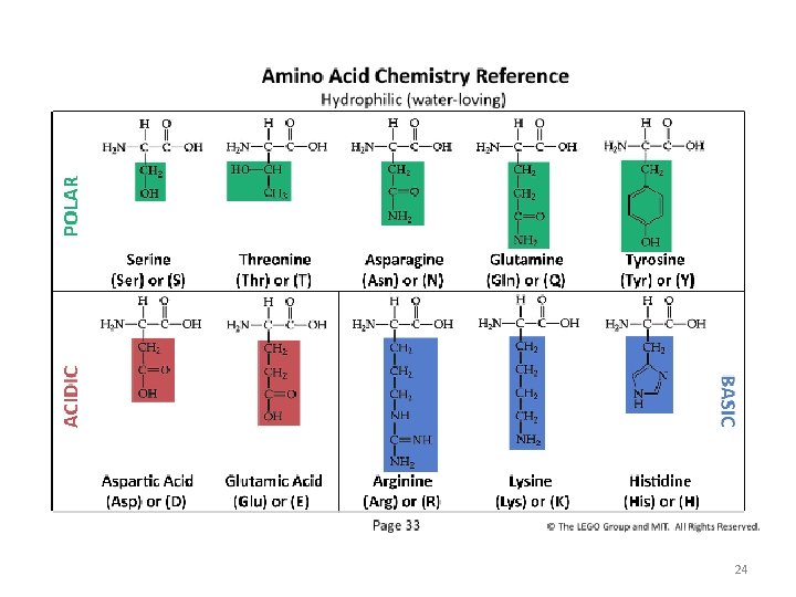 LEGO LESSON 1 PPT Proteins LEGO Proteins An