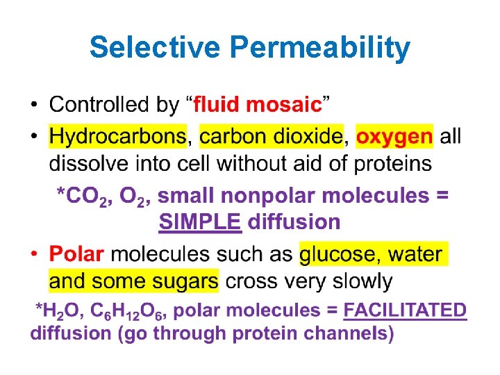 Q Q 91118 Explain why the cell membrane
