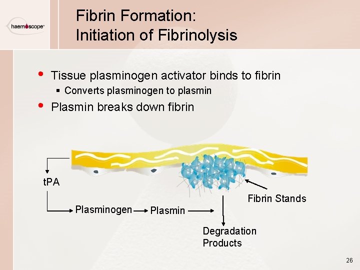 Basic Clinician Training Module 1 An Overview of