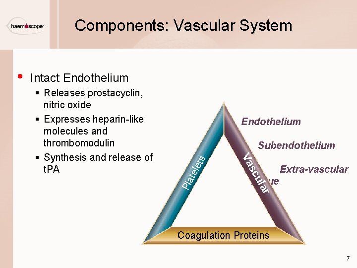 Basic Clinician Training Module 1 An Overview of