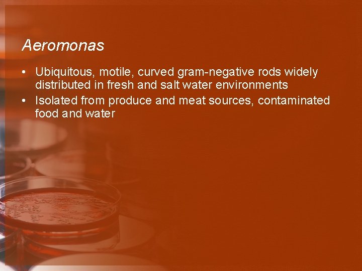 MLT 131 Medical Microbiology Vibrio Aeromonas Plesiomonas Campylobacter