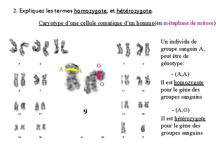 Fiche de rappel pour le chapitre Stabilit et