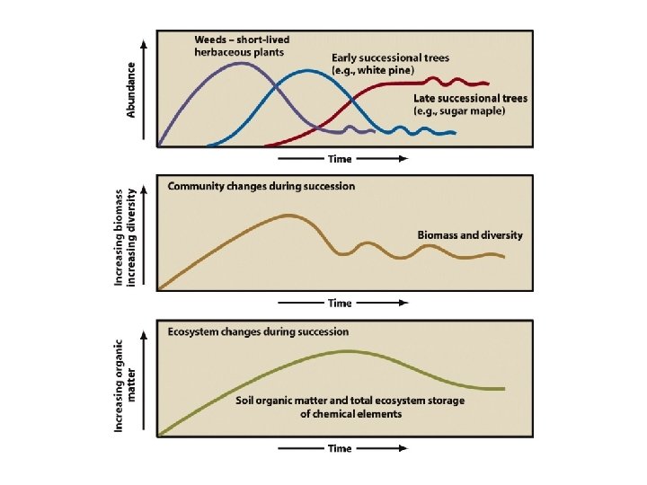 Chapter 10 Ecological Restoration The Balance of Nature
