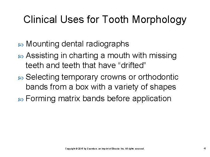 Chapter 12 Tooth Morphology Copyright 2015 by Saunders