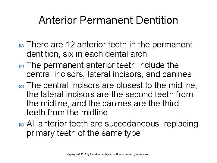 Chapter 12 Tooth Morphology Copyright 2015 by Saunders