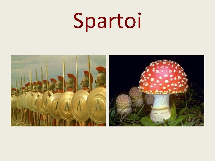 Kadmos Cadmus of Thebes The Problems with the