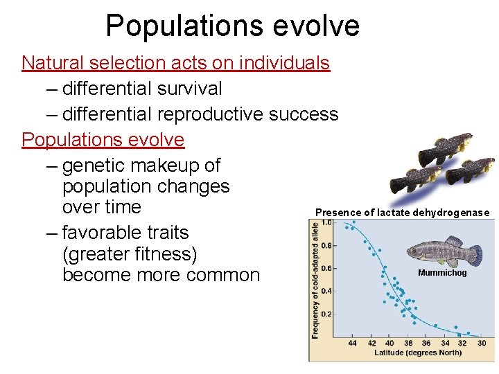 Power Point Lecture Presentations for Biology Eighth Edition