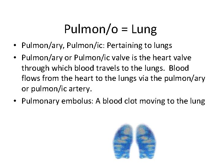 Medical Terminology Respiratory System and Pulmonology Pneo pnea