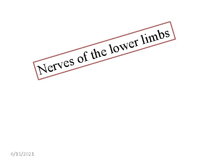 Anatomy of the lower limbs Department of Anatomy