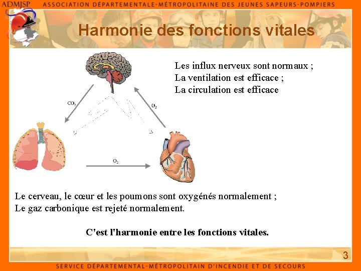Interaction des fonctions vitales ADMJSP ple numrisation 2017