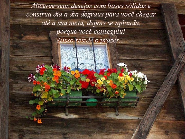 Janelas da vida Autora Lady Foppa Abra a