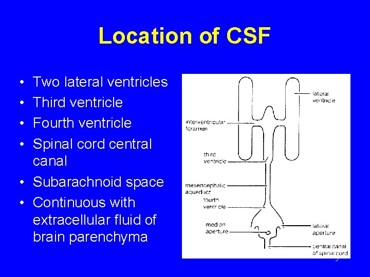 LUMBAR PUNCTURE AND CEREBROSPINAL FLUID KuangNan Hsu Neurological