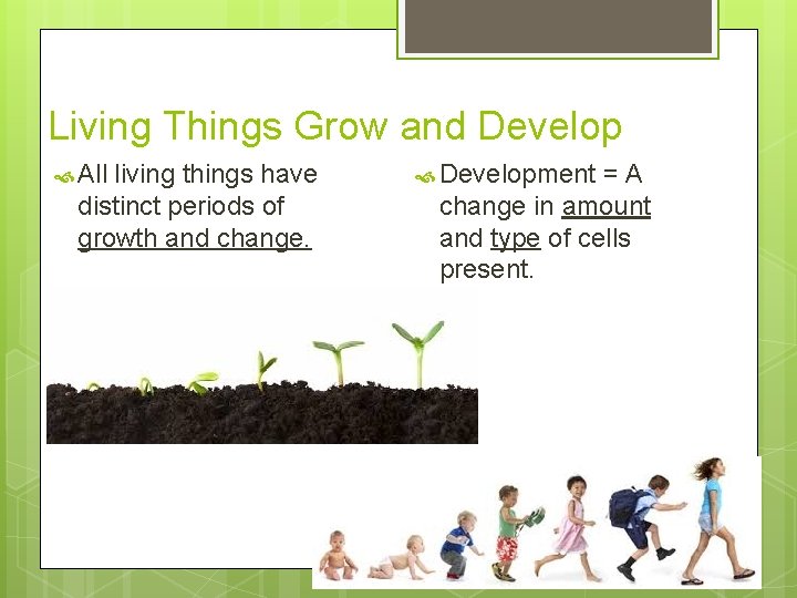 Ecology Chapter 3 Biology 15 16 What is