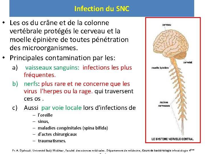Infection du systme nerveux central Introduction 1 Principales
