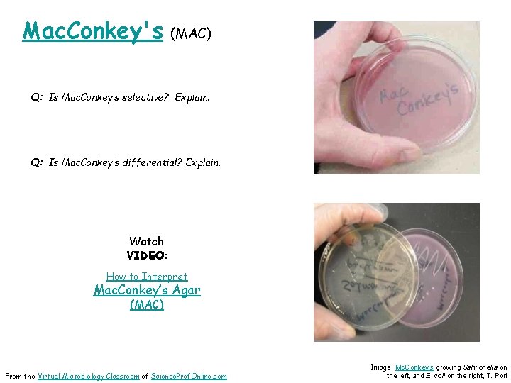 About Science Prof Online Power Point Resources Science