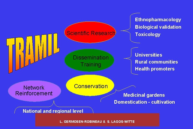 The TRAMIL Program TRAMIL partly suported by UNITED